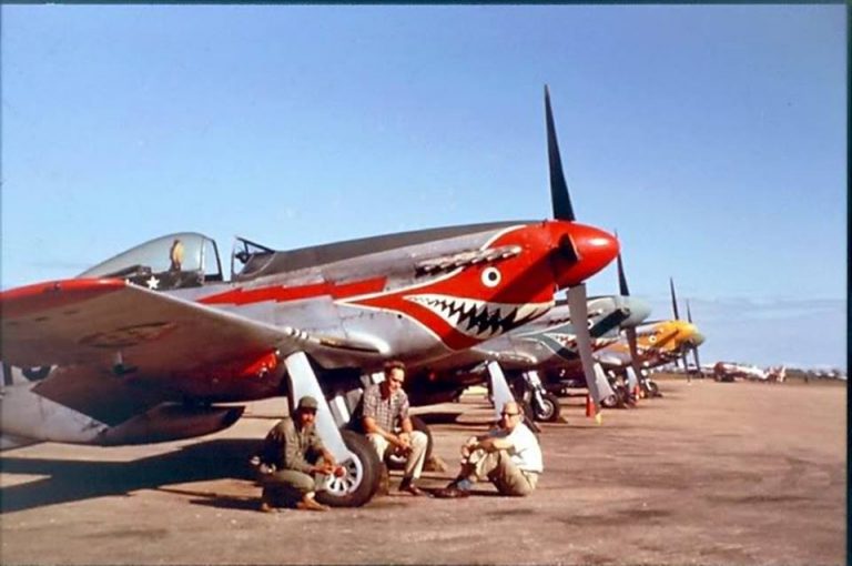 Hace 75 años llegaron los míticos P-51 Mustang a RD - Dominicana Vuela